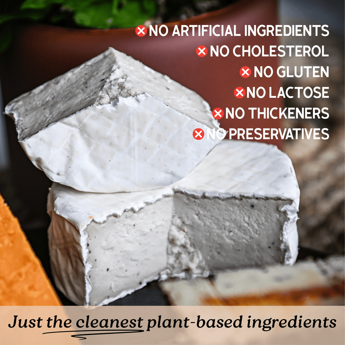 Cave-Aged Truffle Brie | Plant-Based, Dairy-Free Cheese | Rebel Cheese