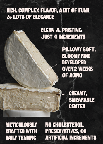 About Us – Rebel Cheese