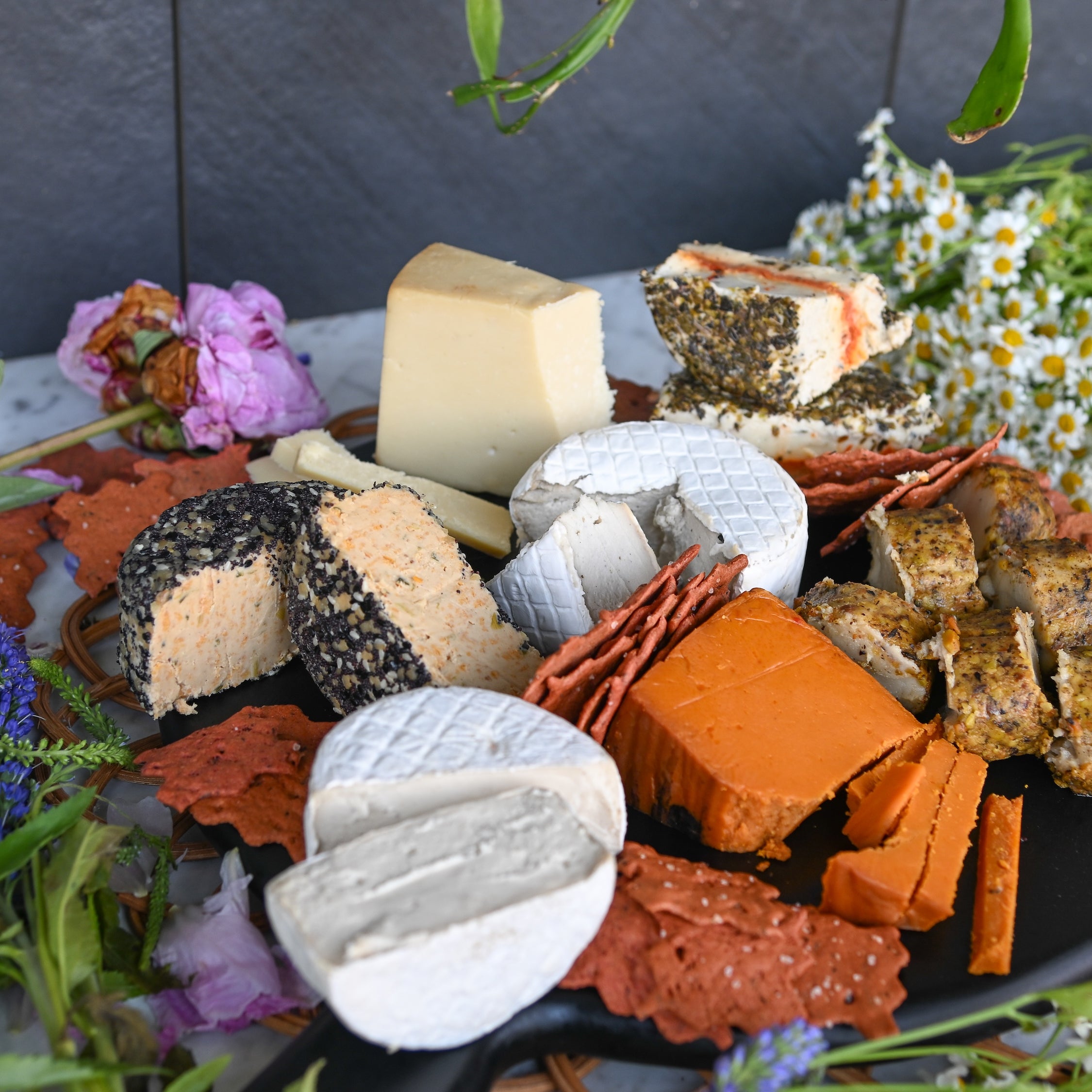 Rebel Cheese | Artisanal Dairy-Free, Vegan, Plant-Based Cheeses