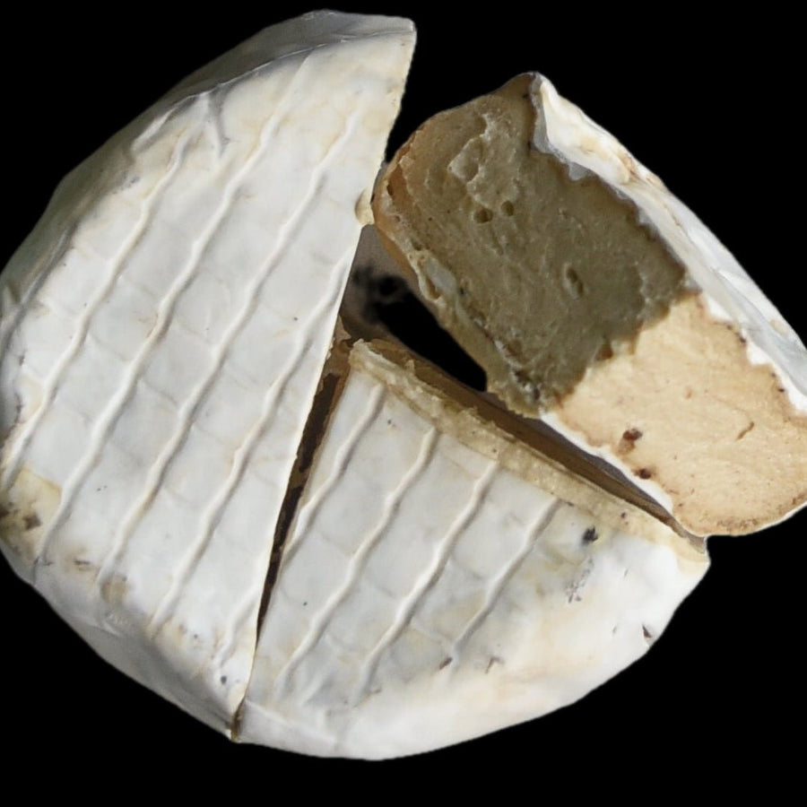 Cheese Vault Exclusives - Rebel Cheese